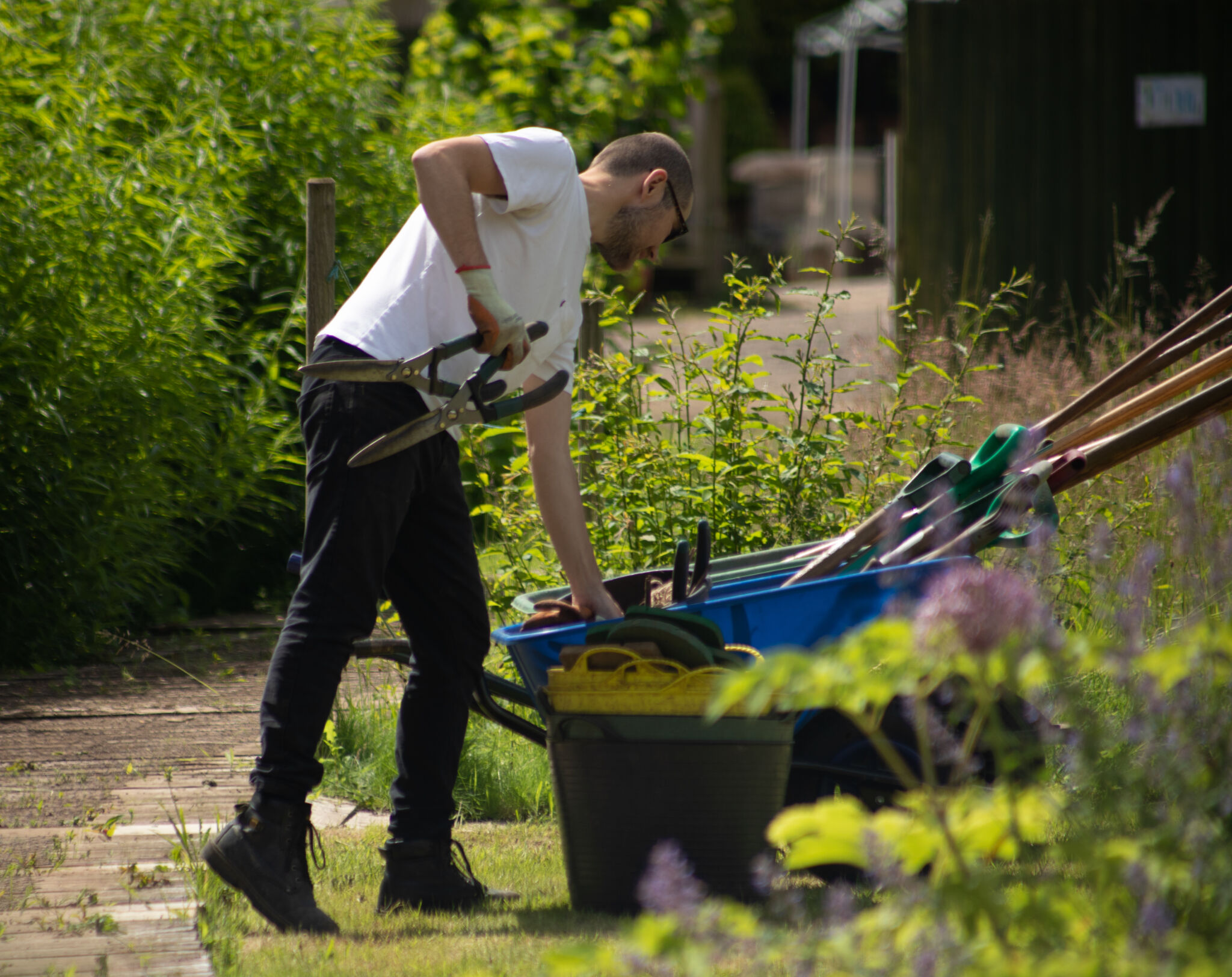 Insight into a horticultural trainee at Winterbourne - Winterbourne ...