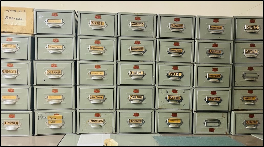 Inside Winterbourne’s Seedbank - Winterbourne House and Garden