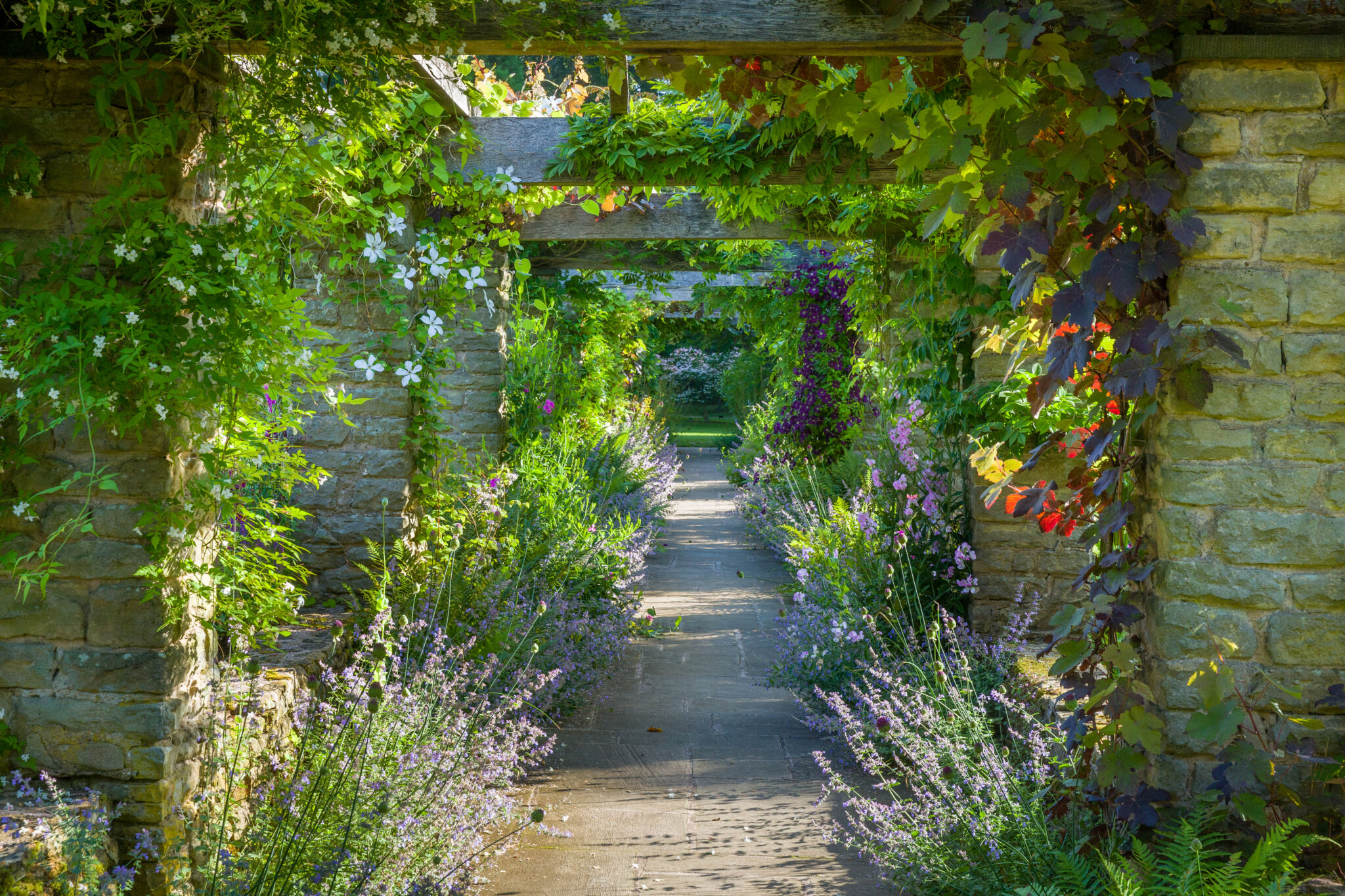 Winterbourne named top European botanical garden - Winterbourne House ...