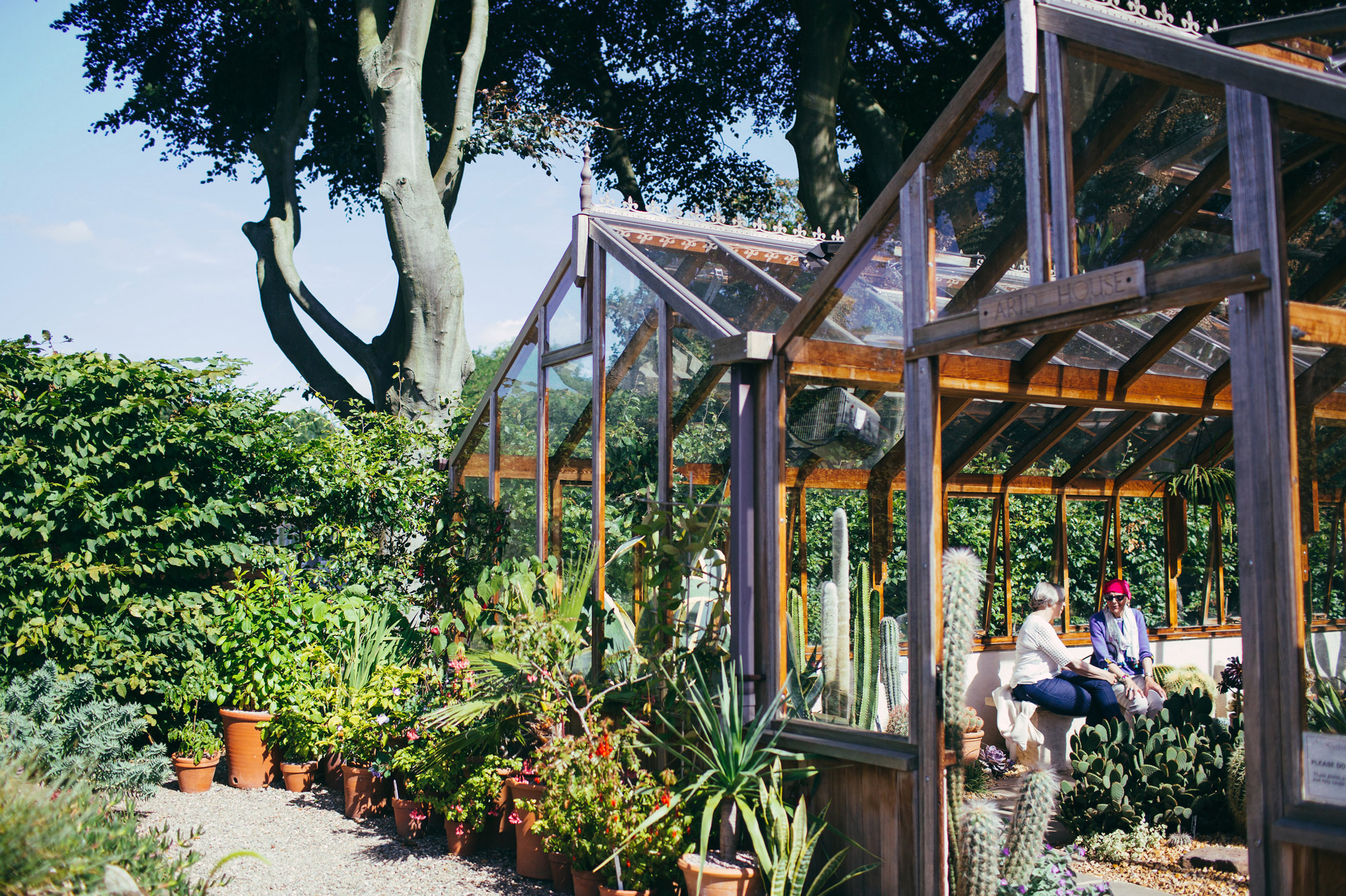 The Garden - Winterbourne House and Garden