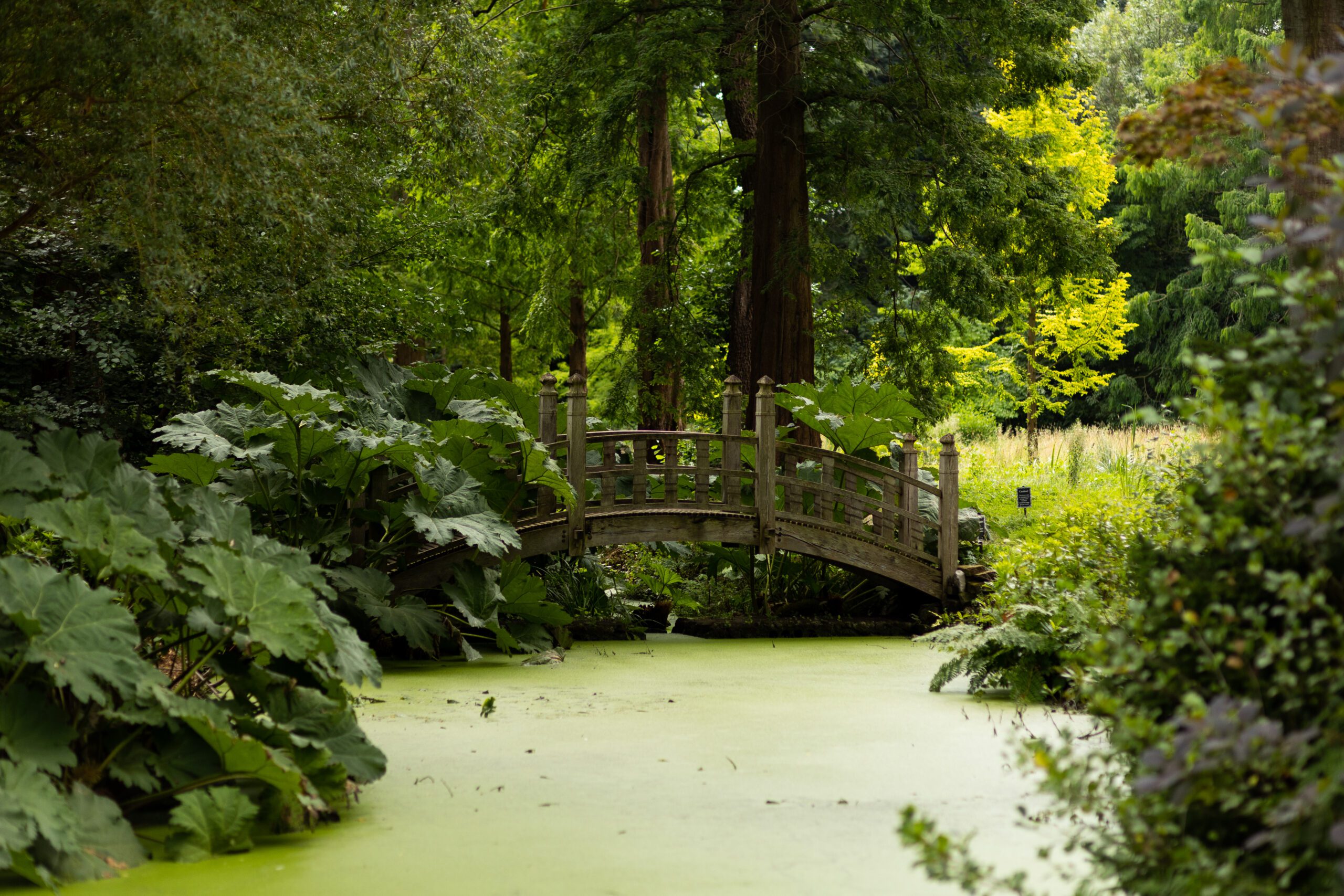 Contact us - Winterbourne House and Garden