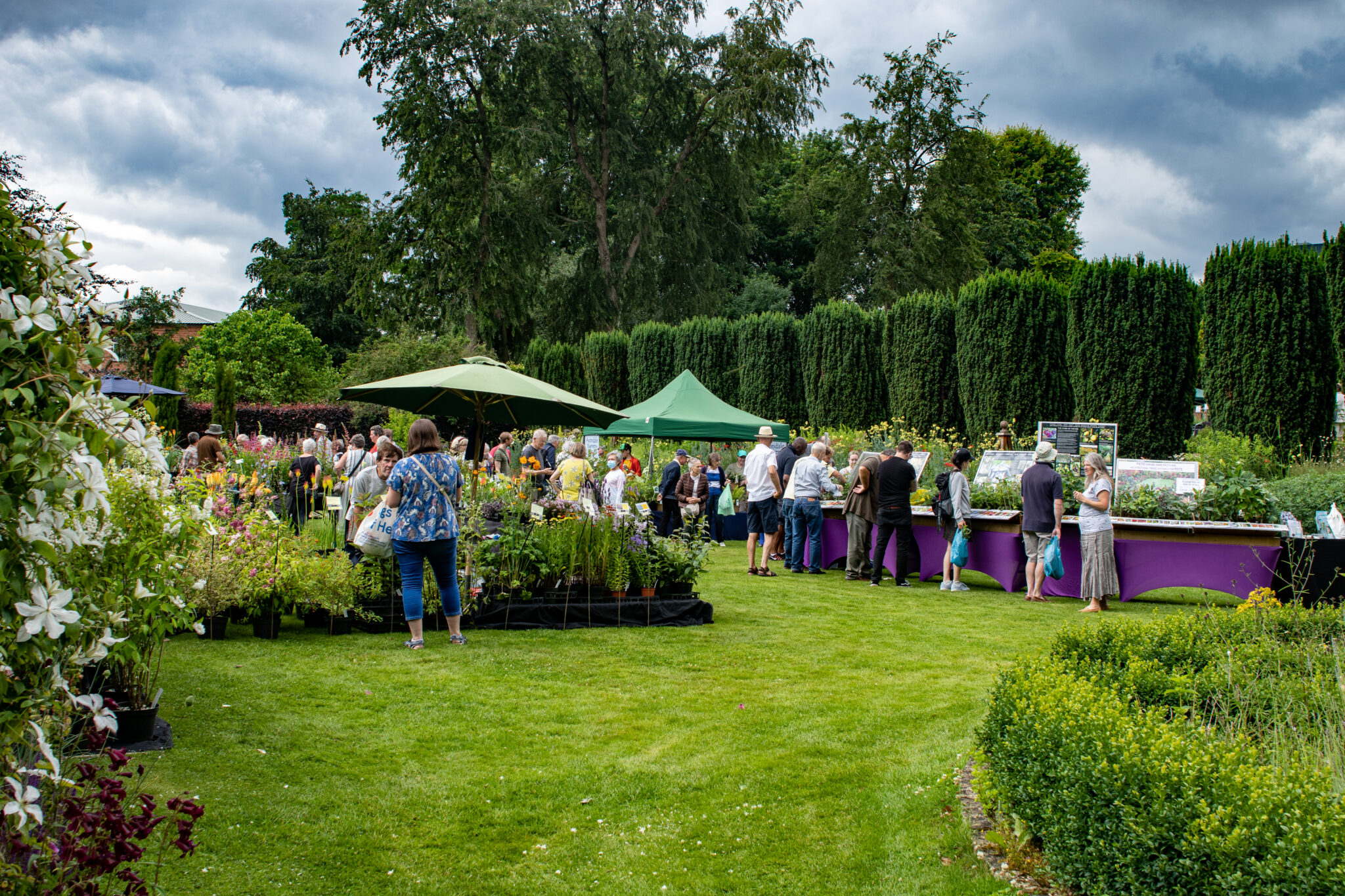 Rare Plant Fair - Winterbourne House and Garden